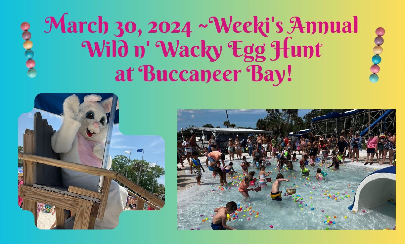 Events | Friends of Weeki Wachee Springs